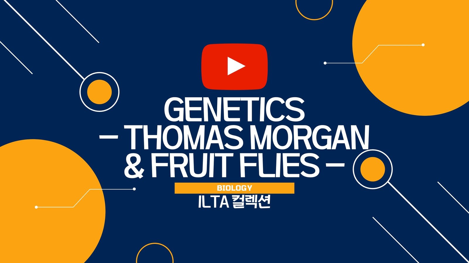 Youtube-Poster-Image-ILTA-Collection-Biology-Genetics-Thomas-Morgan-and ...