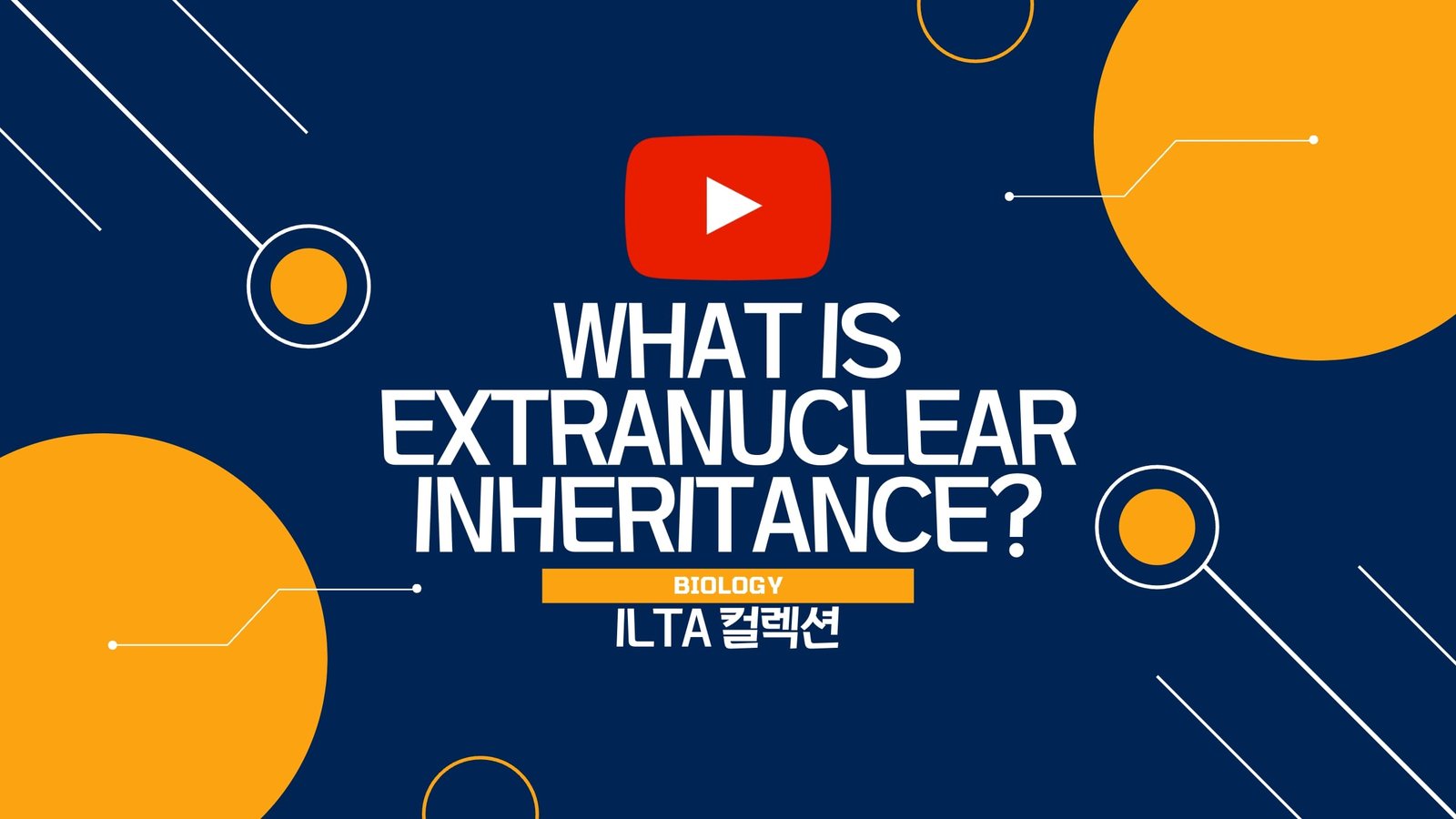 Youtube-Poster-Image-ILTA-Collection-Biology-What-Is-Extranuclear ...