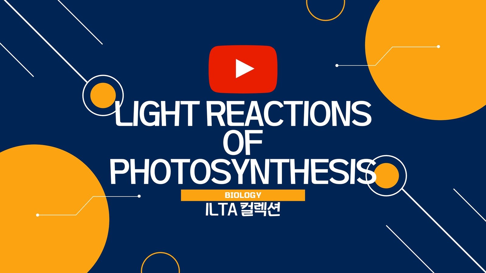 Youtube-Poster-Image-ILTA-Collection-Biology-Photosynthesis-Light ...